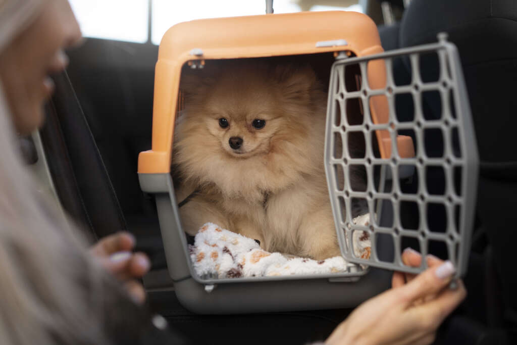 Potty Training Secrets: The Ultimate Guide to a Clean Home and Happy ...