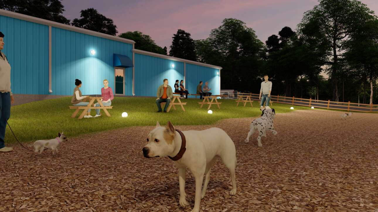 The Best Enclosed Dog Run Ideas for Big Dogs