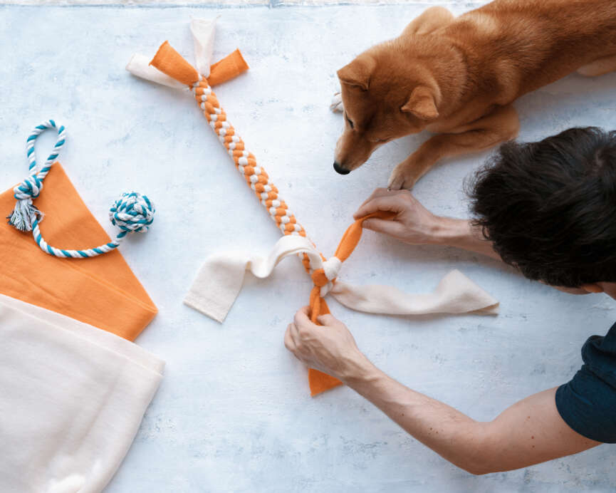Upcycled Dog Toy Ideas for the Creative Pet Owner